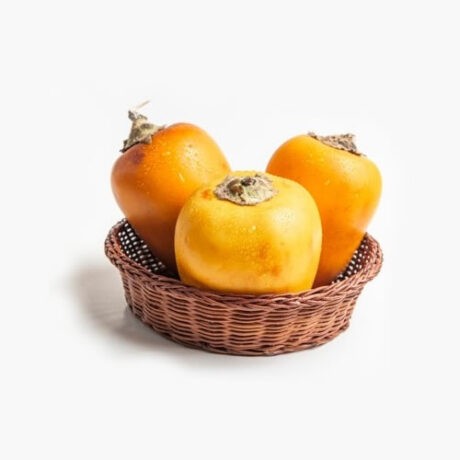 Cocona – Inversiones Sierralta